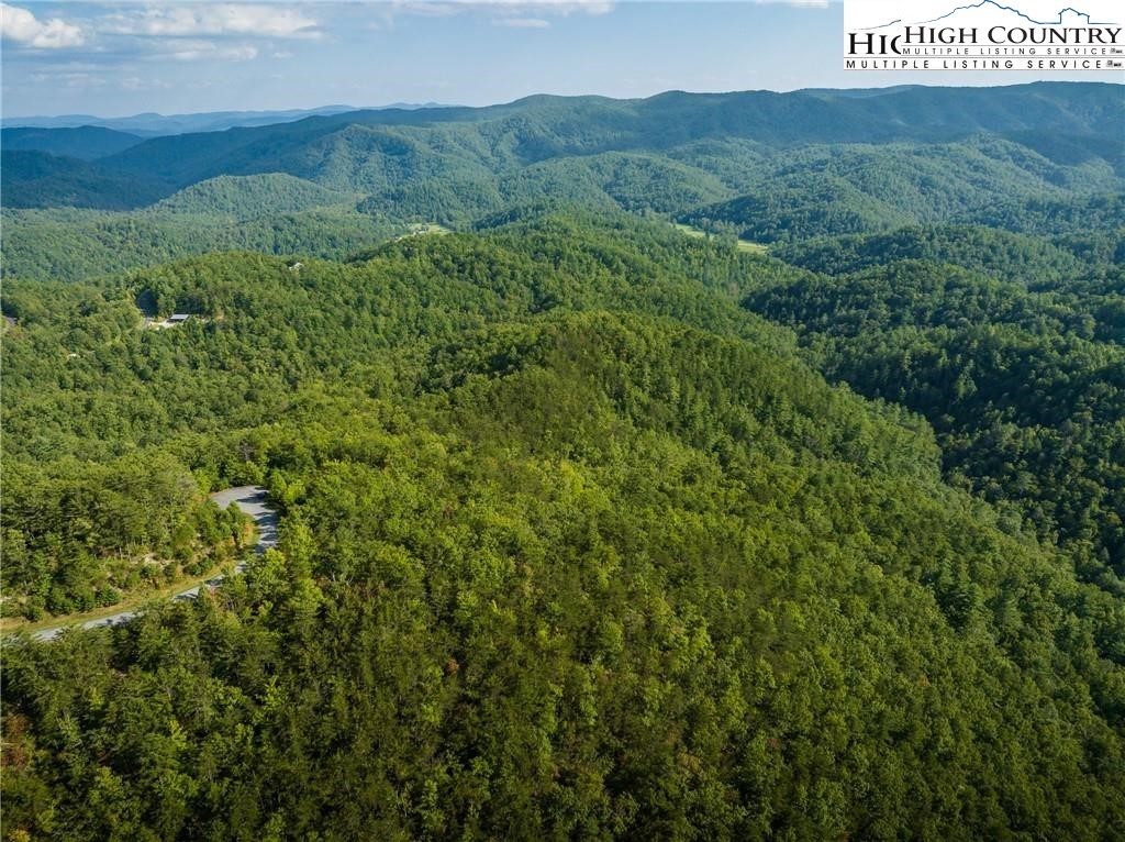 MLS#: 248335 | 1319 Round Leaf Lane, Ferguson, NC 28624