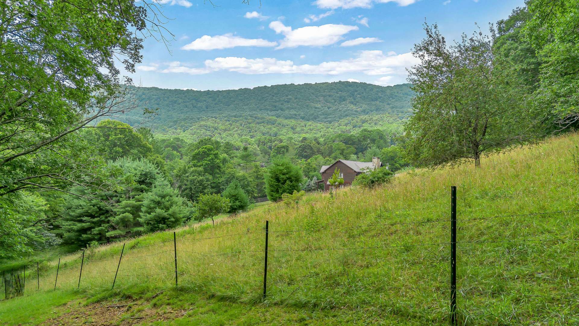 Blue Ridge Mountain Cabin in Todd, NC