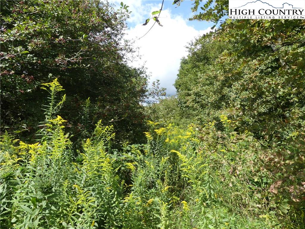 MLS#: 229579 | Lot 409 Buffalo Nvno, Zionville, NC 28698