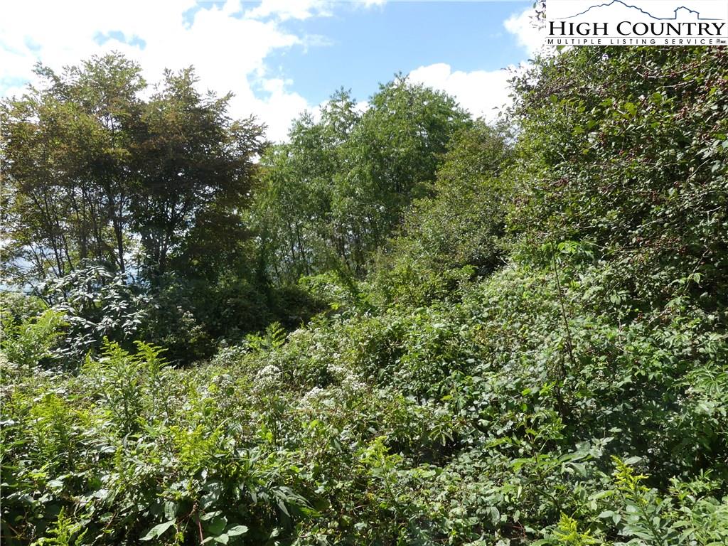 MLS#: 229579 | Lot 409 Buffalo Nvno, Zionville, NC 28698