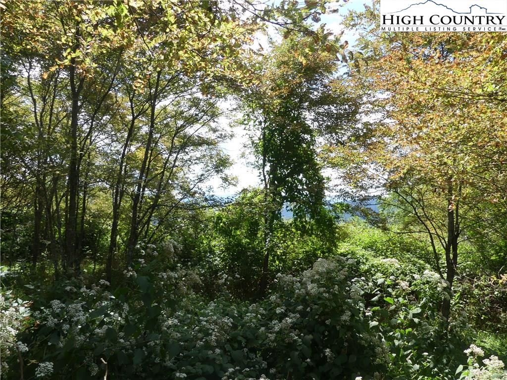 MLS#: 229579 | Lot 409 Buffalo Nvno, Zionville, NC 28698