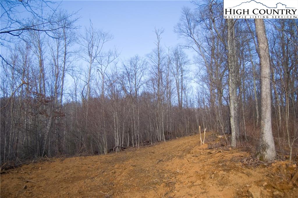 MLS#: 213037 | TBD Bee Tree Road, Lansing, NC 28643