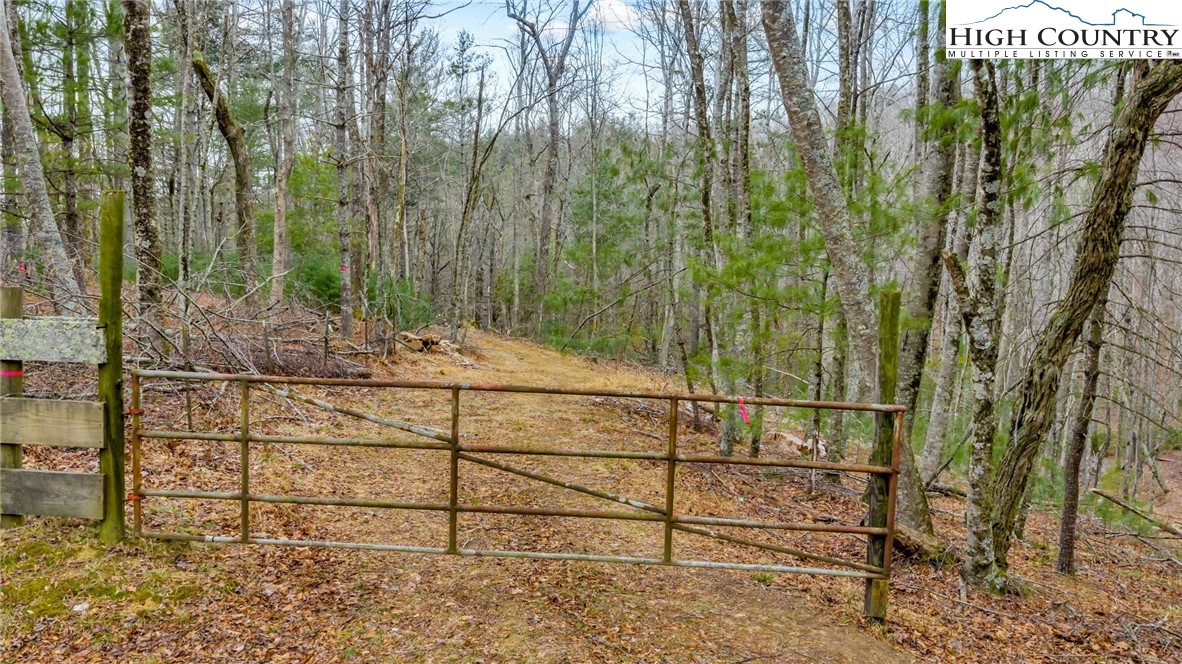 MLS#: 259676 | TBD Gentry Hill Lane, Laurel Springs, NC 28644