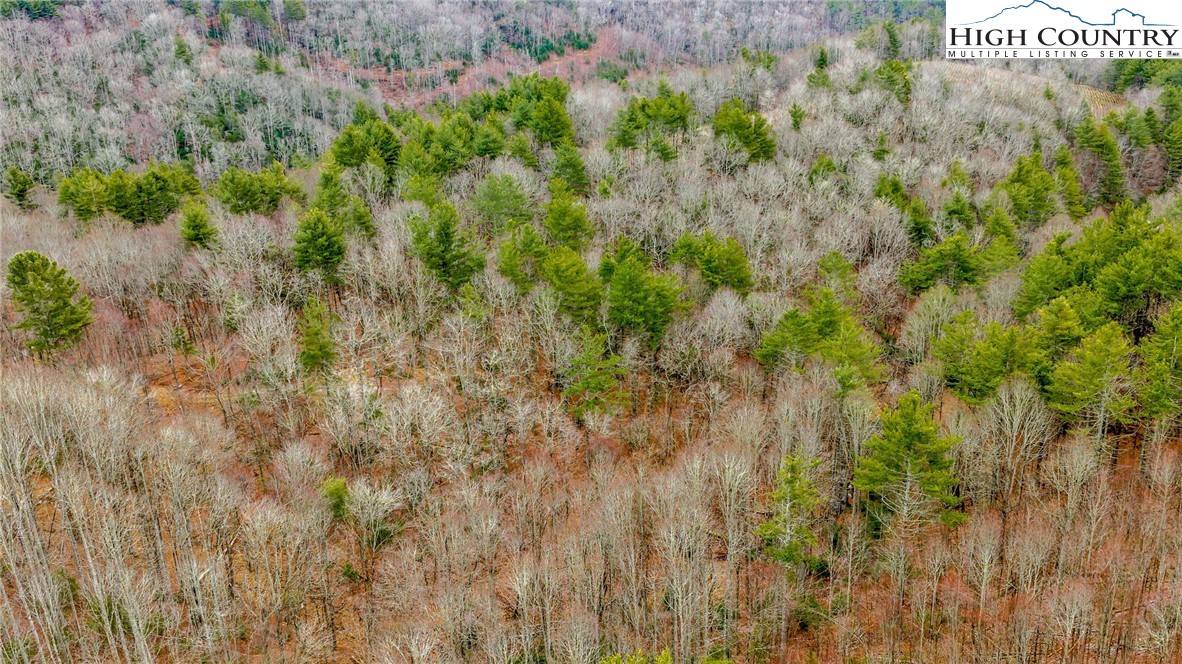 MLS#: 259676 | TBD Gentry Hill Lane, Laurel Springs, NC 28644