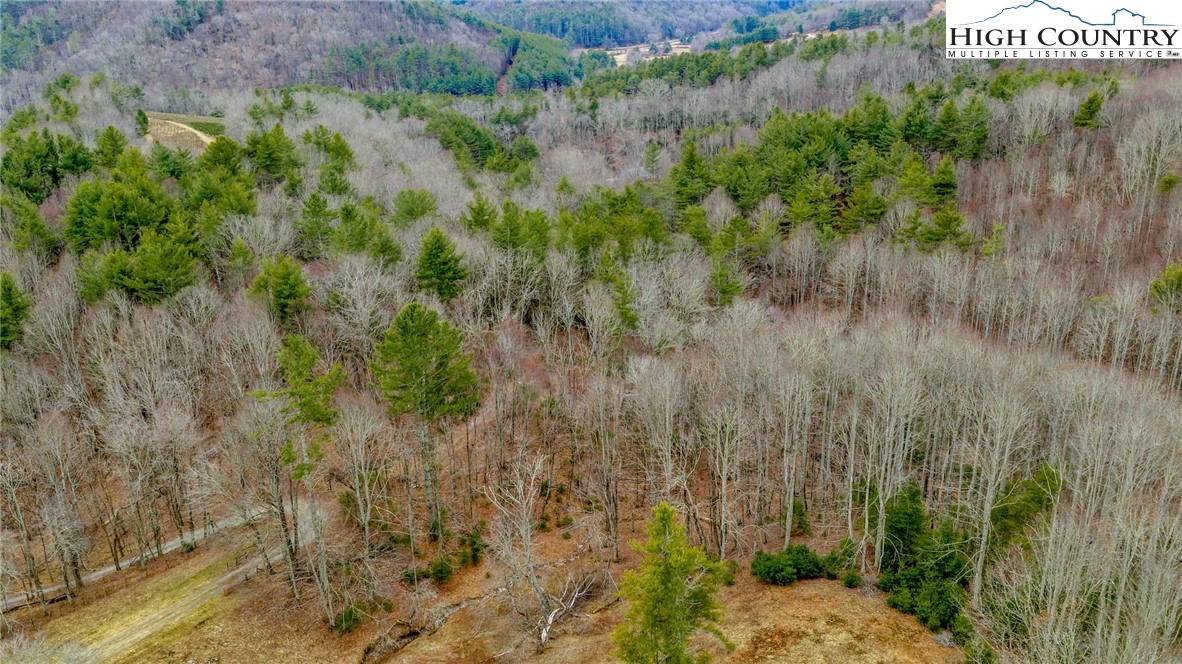 MLS#: 259676 | TBD Gentry Hill Lane, Laurel Springs, NC 28644